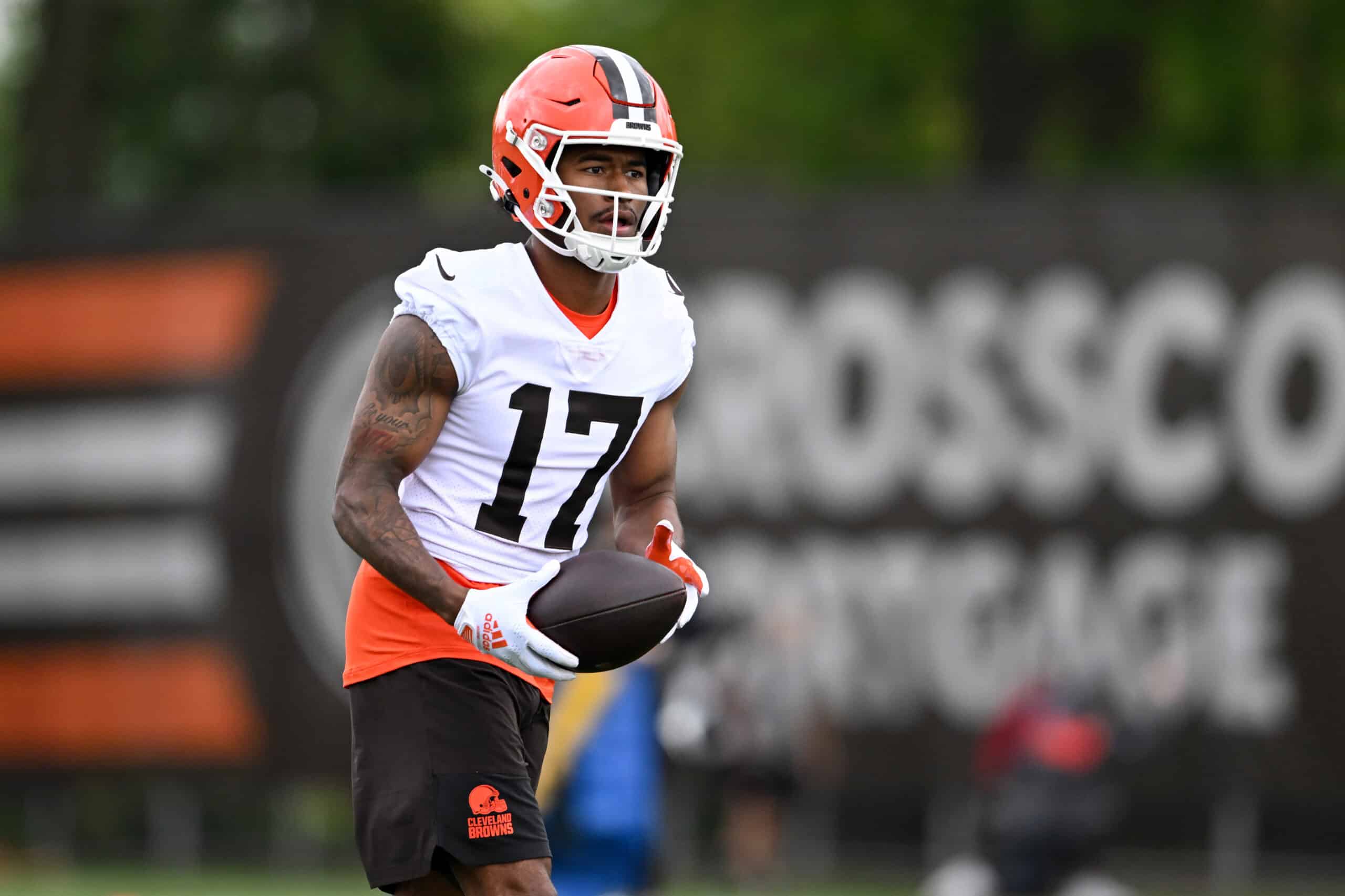 Browns Rookie WRs Will Get Priceless Education In Training Camp